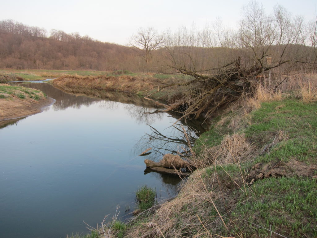 NNR Journal - STREAMBANK STABILIZATION - Nature Nooks Retreat
